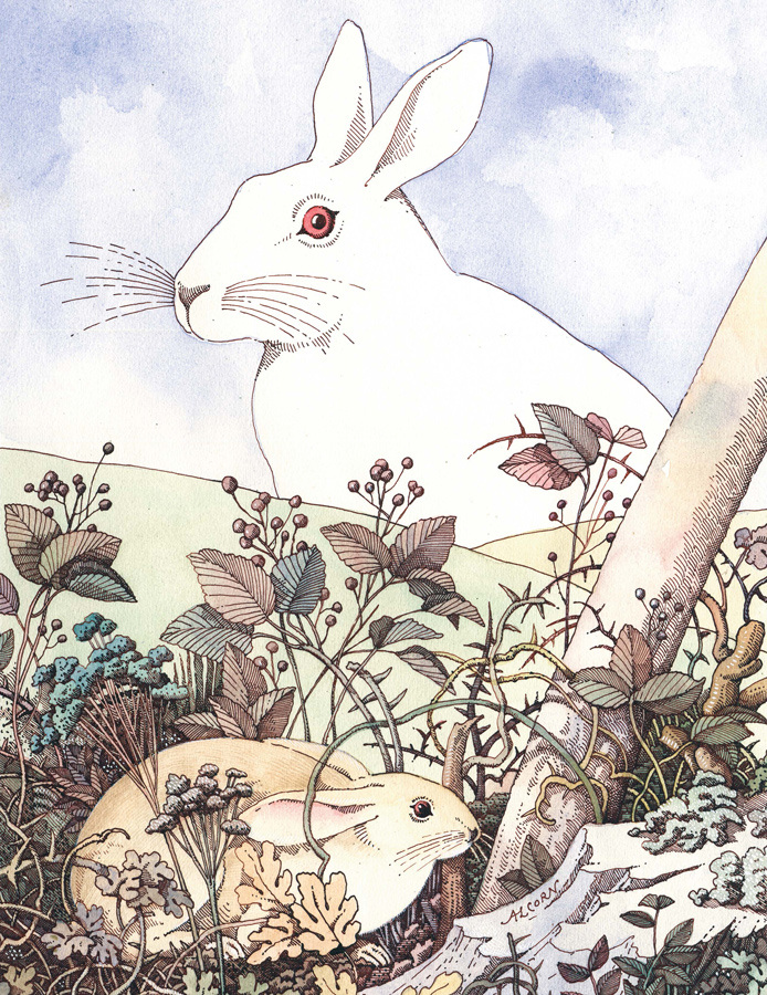 John Alcorn, Evolution by Design - 50 Watts